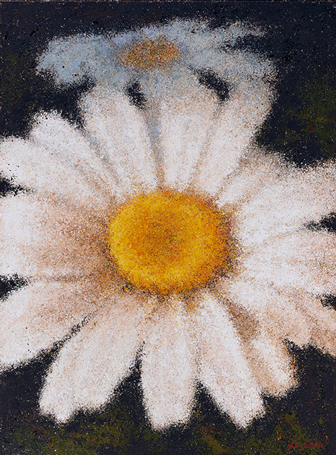 White Daisy By Karl Soderlund | GearyGallery.com