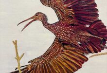 Art Gallery | Exhibits | Frame Shop | Geary Gallery